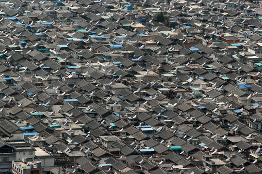 Imagens de Overpopulation – Explore Fotografias do Stock, Vetores e ...