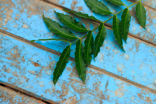 รูปภาพNimtree – เลือกดูภาพถ่ายสต็อก เวกเตอร์ และวิดีโอ8,932 | Adobe Stock