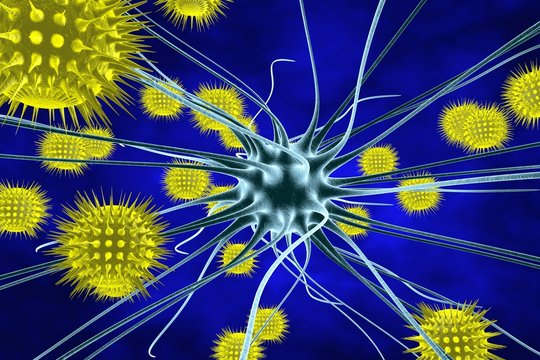Neuroinfection Images – Browse 56 Stock Photos, Vectors, and Video ...