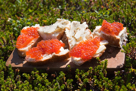 「Butterbrod」の写真素材 | 138件の無料イラスト画像 | Adobe Stock