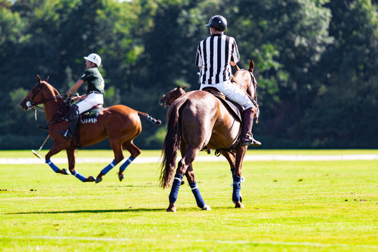 รูปภาพ"Polo Stick" – เลือกดูภาพถ่ายสต็อก เวกเตอร์ และวิดีโอ1,953 ...