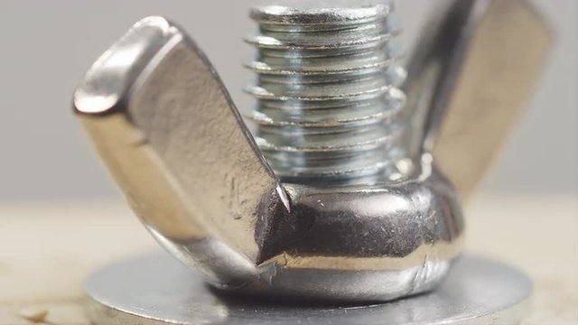 รูปภาพWingnut – เลือกดูภาพถ่ายสต็อก เวกเตอร์ และวิดีโอ256 | Adobe Stock