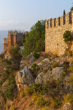 Antala Images – Browse 17 Stock Photos, Vectors, and Video | Adobe Stock