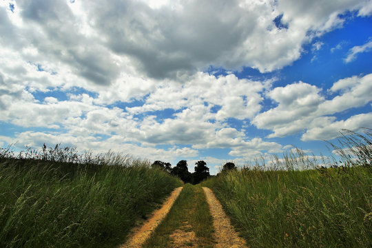 รูปภาพSandweg – เลือกดูภาพถ่ายสต็อก เวกเตอร์ และวิดีโอ1,099 | Adobe Stock