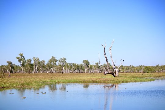 รูปภาพBillabong – เลือกดูภาพถ่ายสต็อก เวกเตอร์ และวิดีโอ3,151 | Adobe Stock