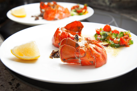 รูปภาพLanguste – เลือกดูภาพถ่ายสต็อก เวกเตอร์ และวิดีโอ682 | Adobe Stock