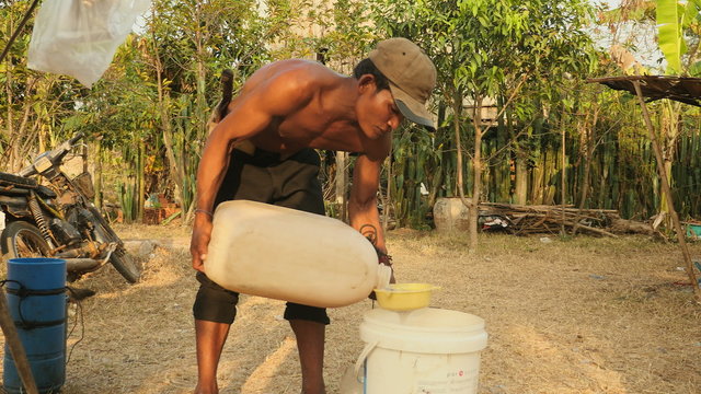 Afbeeldingen over "Palm Wine" – Blader in stockfoto's, vectoren en ...