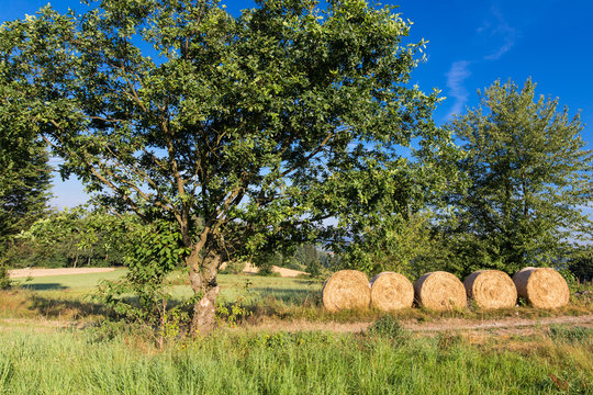 「Heurolle」の画像 - 192 件の Stock 写真、ベクターおよびビデオ | Adobe Stock