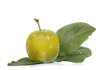 Photos, illustrations et vidéos de "reine claude"