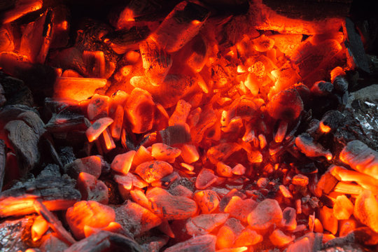 Vehemently Images – Browse 259 Stock Photos, Vectors, and Video | Adobe ...