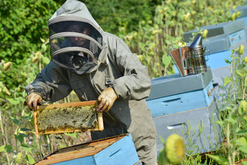 Beekeeper stock photos and royalty-free images, vectors and ...