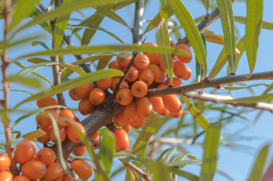 Sandorn Images – Browse 116 Stock Photos, Vectors, and Video | Adobe Stock