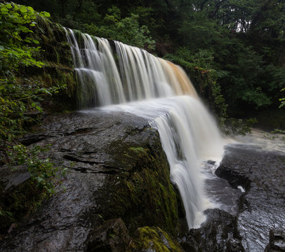 รูปภาพGwyn – เลือกดูภาพถ่ายสต็อก เวกเตอร์ และวิดีโอ107 | Adobe Stock