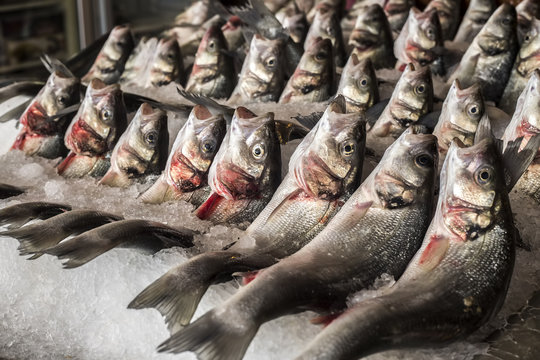 รูปภาพLevrek – เลือกดูภาพถ่ายสต็อก เวกเตอร์ และวิดีโอ412 | Adobe Stock