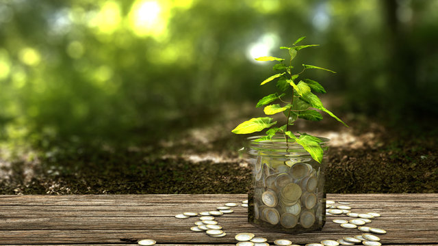 รูปภาพEmerge – เลือกดูภาพถ่ายสต็อก เวกเตอร์ และวิดีโอ163,448 | Adobe Stock