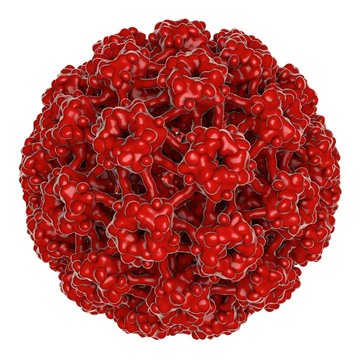 Hpv Bilder – Durchsuchen 14,636 Archivfotos, Vektorgrafiken und Videos ...
