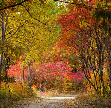 tinnko 写真、画像、アセット | Adobe Stock