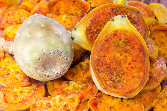 「Alquitira」の写真素材 | 2件の無料イラスト画像 | Adobe Stock