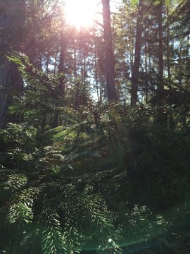 Irreproachable Images – Browse 830 Stock Photos, Vectors, and Video ...