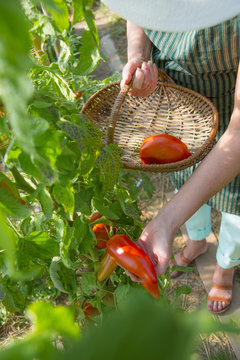 Retorte Bilder – Durchsuchen 9,639 Archivfotos, Vektorgrafiken und ...