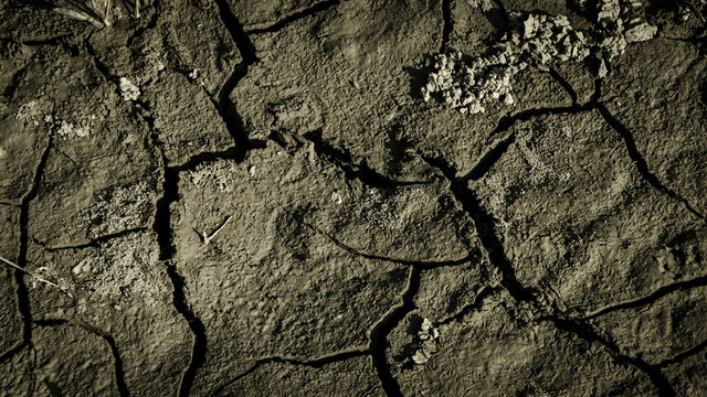 Soild Images – Browse 154 Stock Photos, Vectors, and Video | Adobe Stock