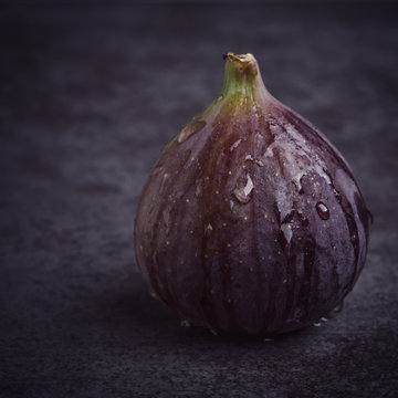 รูปภาพFeige – เลือกดูภาพถ่ายสต็อก เวกเตอร์ และวิดีโอ11,833 | Adobe Stock