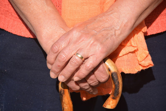 Cachaba Bilder – Durchsuchen 130 Archivfotos, Vektorgrafiken und Videos ...