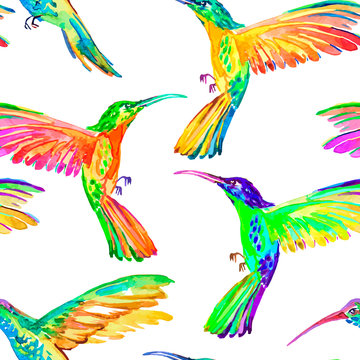 "Hummingbird Vector" Images – Parcourir 346 le catalogue de photos, vecteurs et vidéos | Adobe Stock