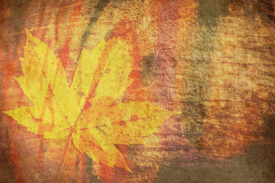 "Autumn Background" bilder – Bläddra bland 67,140 stockfoton, vektorer ...