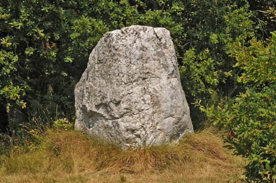 รูปภาพMegalito – เลือกดูภาพถ่ายสต็อก เวกเตอร์ และวิดีโอ441 | Adobe Stock