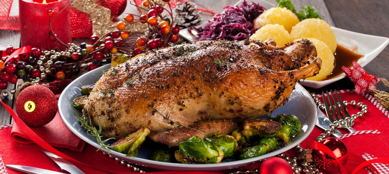 "Gans" Images – Browse 46,044 Stock Photos, Vectors, and Video | Adobe ...