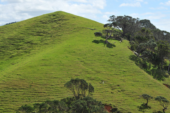 Deforestating Bilder – Durchsuchen 15 Archivfotos, Vektorgrafiken und ...