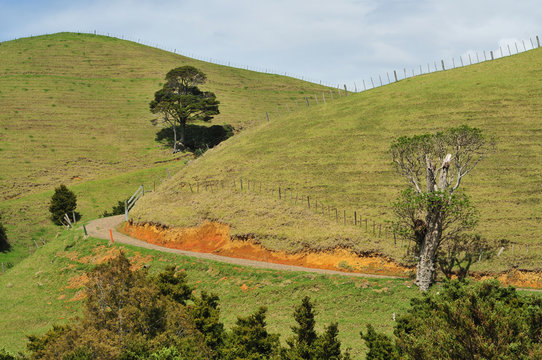 Deforestating Bilder – Durchsuchen 15 Archivfotos, Vektorgrafiken und ...