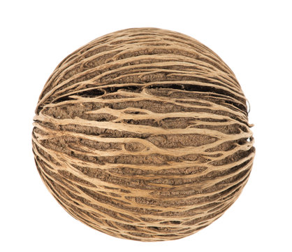 Tangena bilder – Bläddra bland 159 stockfoton, vektorer och videor ...