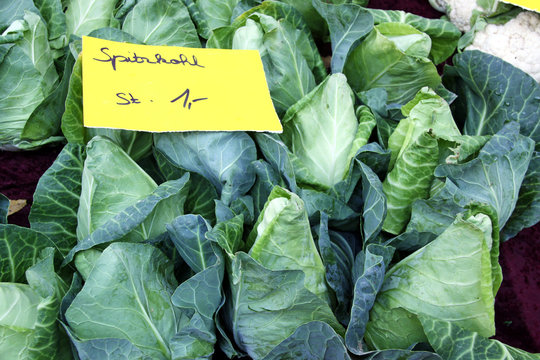 Spitzkohl Images – Browse 640 Stock Photos, Vectors, and Video | Adobe ...