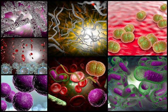 "Bacteria Collage" Imagens – Procure 23 fotos, vetores e vídeos | Adobe ...