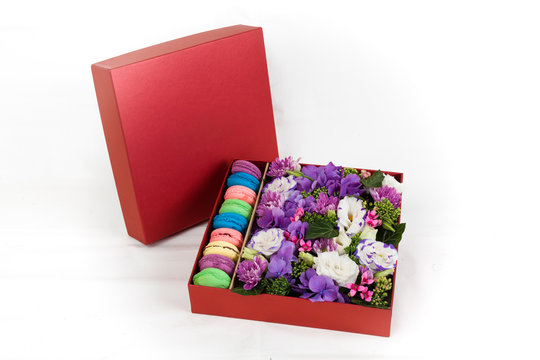 Boug Images – Browse 63 Stock Photos, Vectors, and Video | Adobe Stock