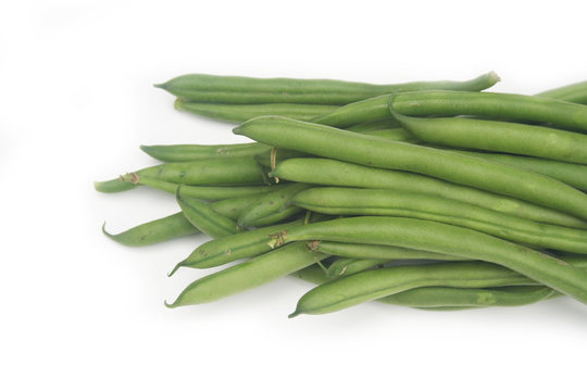 Tegoline Images – Browse 173 Stock Photos, Vectors, and Video | Adobe Stock