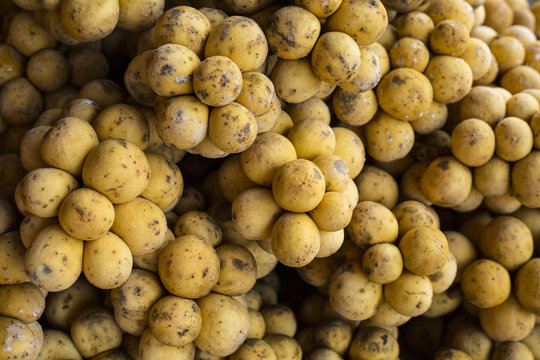 รูปภาพLansium – เลือกดูภาพถ่ายสต็อก เวกเตอร์ และวิดีโอ2,798 | Adobe Stock