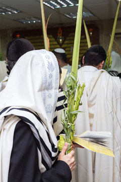 Imagens de Lulav – Explore Fotografias do Stock, Vetores e Vídeos de ...