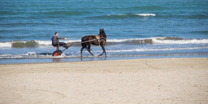 รูปภาพTrotto – เลือกดูภาพถ่ายสต็อก เวกเตอร์ และวิดีโอ5,073 | Adobe Stock