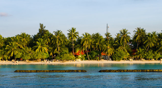 Kurumba Images – Browse 57 Stock Photos, Vectors, and Video | Adobe Stock