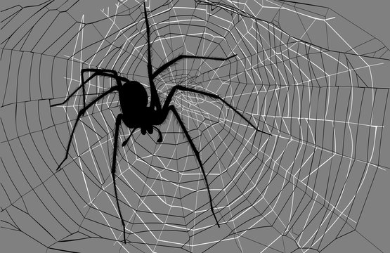 Arachnophobia Images – Browse 48,867 Stock Photos, Vectors, and Video ...
