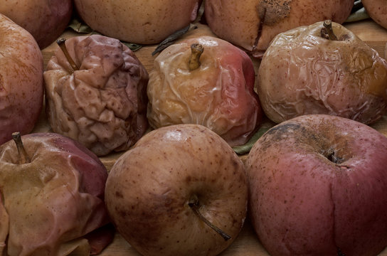 รูปภาพPodrido – เลือกดูภาพถ่ายสต็อก เวกเตอร์ และวิดีโอ200 | Adobe Stock