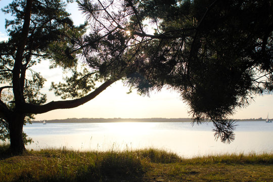 Baumschatten Зображення — огляд 192 Стокові фото, векторні зображення й ...