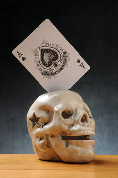 Sfiga Images – Browse 50 Stock Photos, Vectors, and Video | Adobe Stock