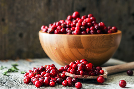 Preiselbeeren Clipart 92 Preiselbeeren High Res Illustrations Getty