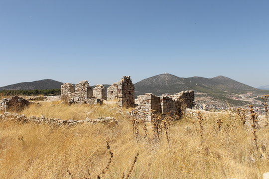 Bechin bilder – Bläddra bland 21 stockfoton, vektorer och videor ...