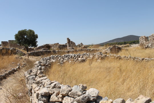 Bechin Bilder – Durchsuchen 21 Archivfotos, Vektorgrafiken und Videos ...