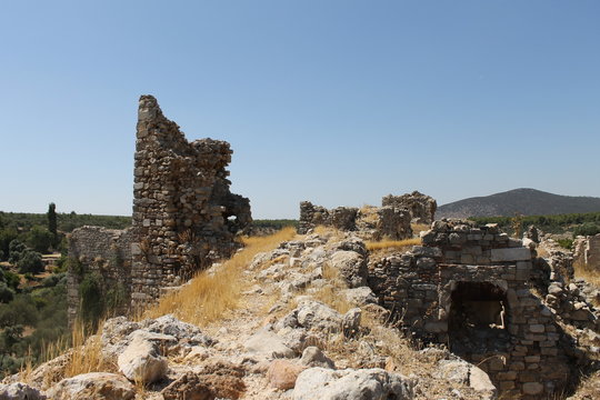Bechin bilder – Bläddra bland 21 stockfoton, vektorer och videor ...